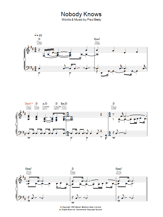 Nobody Knows - Online Noten von Paul Brady - smd-38292 | notendownload