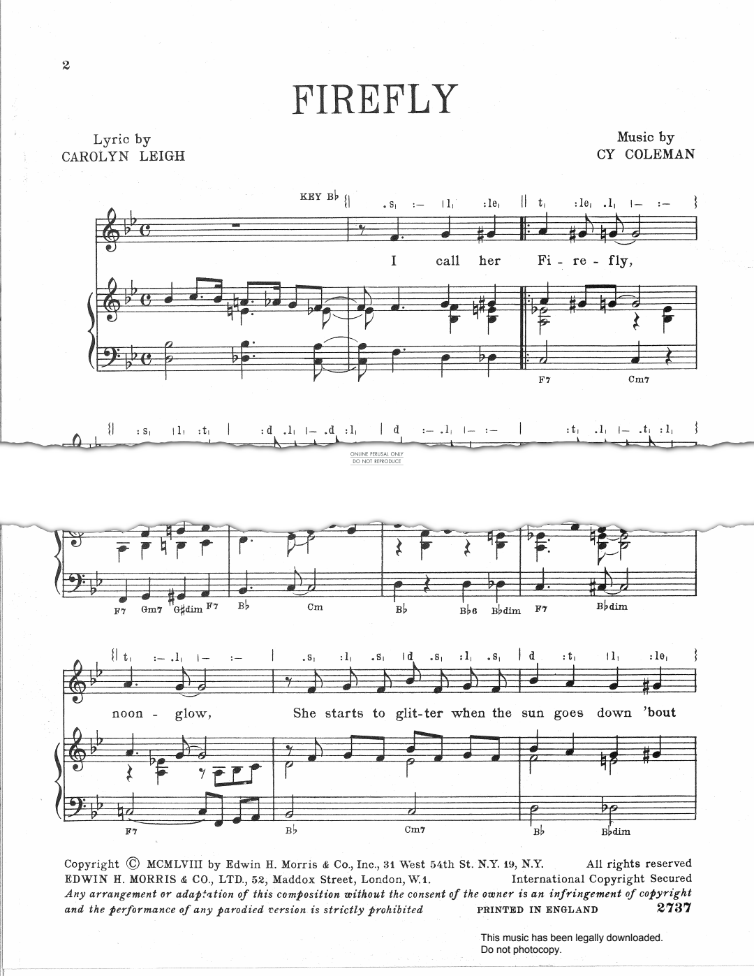 Firefly (Tony Bennett) | Sheet Music: Guitar, Piano, Voice | PDF Download