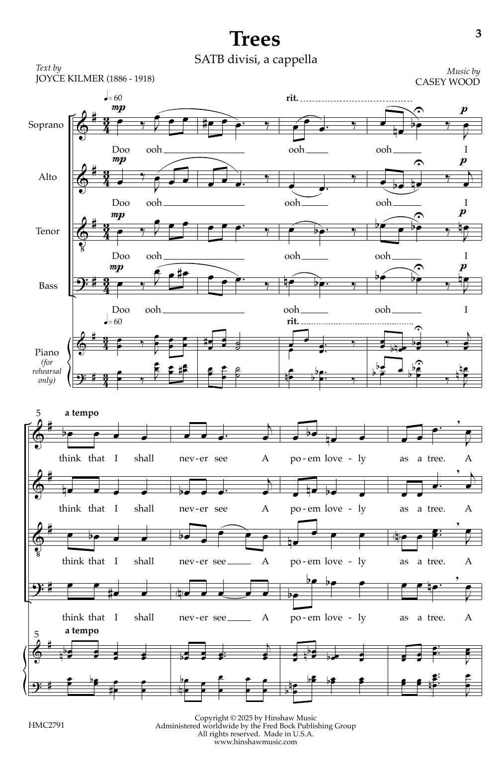 Trees (Casey Wood) | Noten: SATB geteilter Chor | PDF Download