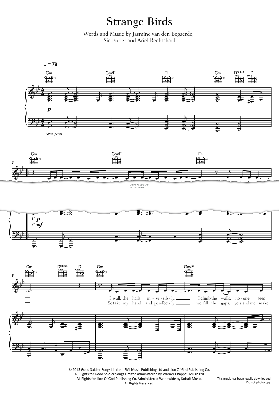 Strange Birds (Birdy) | Sheet Music: Guitar, Piano, Voice | PDF Download