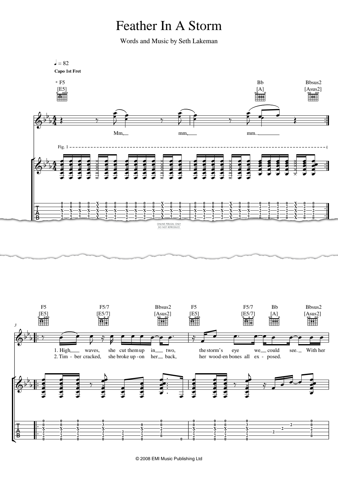 Feather In A Storm - sheet music by Seth Lakeman - fbd-3325 | notendownload