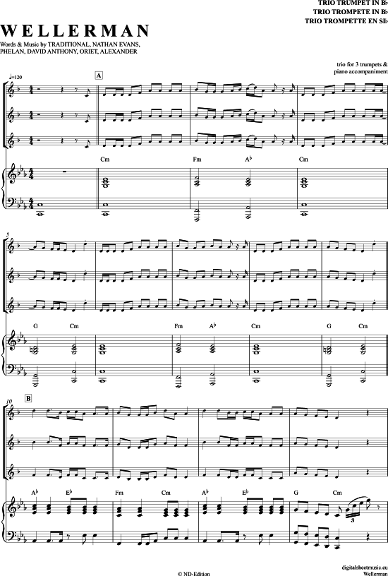 Wellerman (Sea Shanty) - sheet music by Nathan Evans (Traditional aus ...